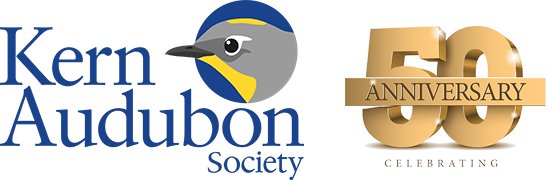 Bird of The Week: Horned Lark – Kern Audubon Society